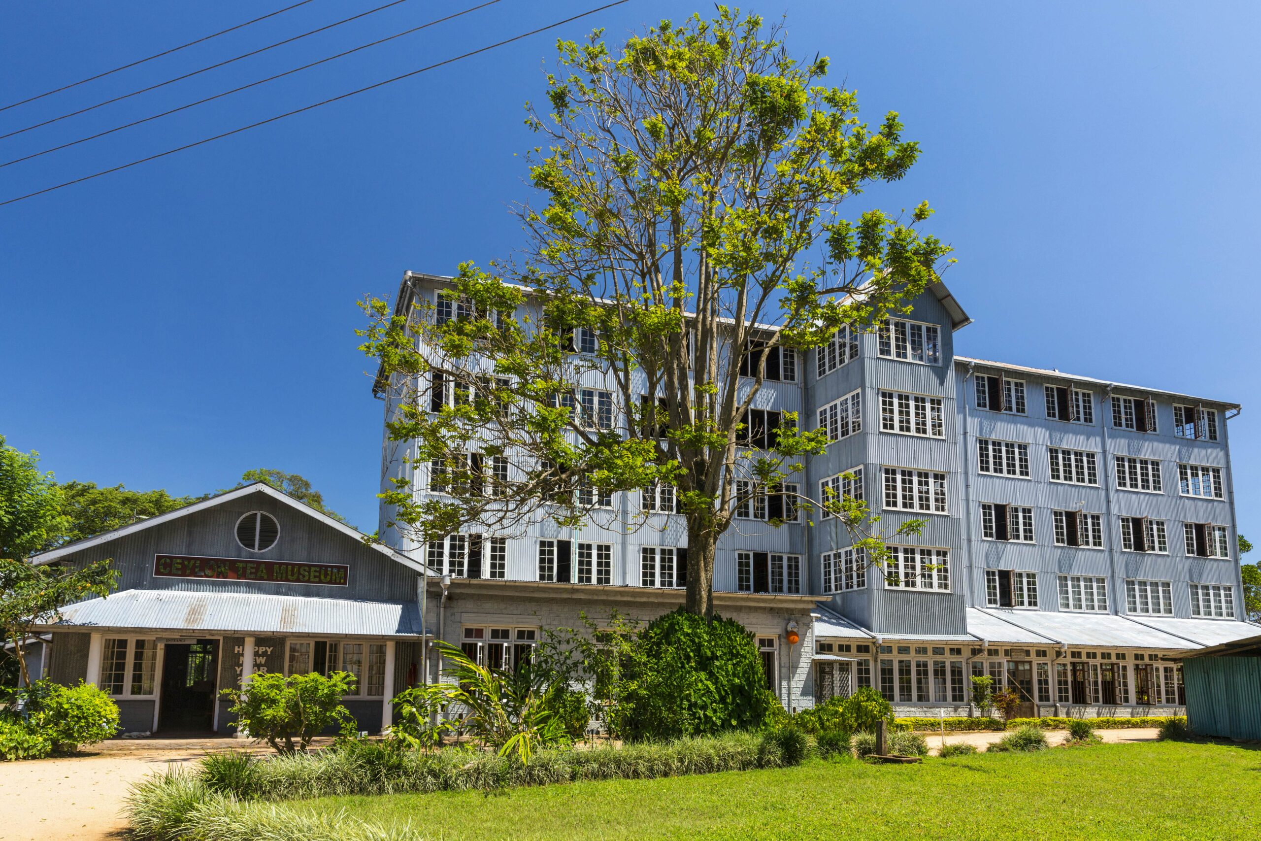 Stage 1: Hanthana to Galaha – A Gentle Introduction to the Pekoe Trail ...